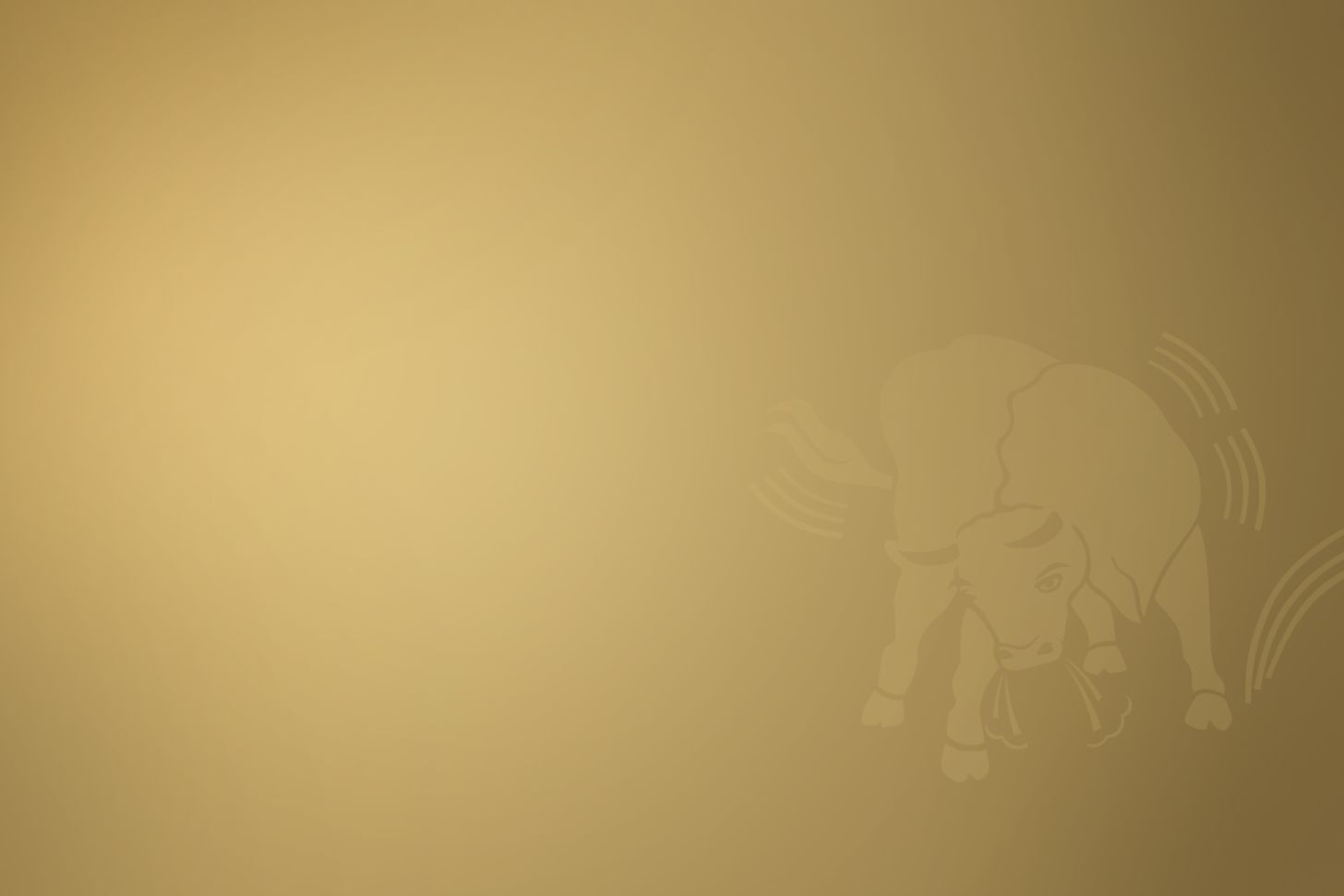 Maxx – a family of cheeses packed full of flavor